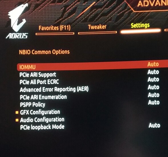 Are there new or importent BIOS options on AM5? - Virtualization - Level1Techs Forums