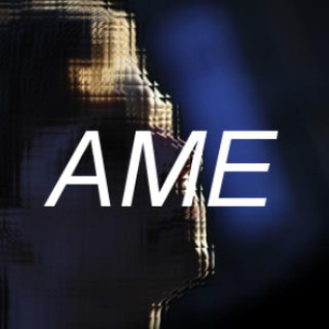 Windows 10 AME. The privacy focused builds - Windows - Level1Techs Forums